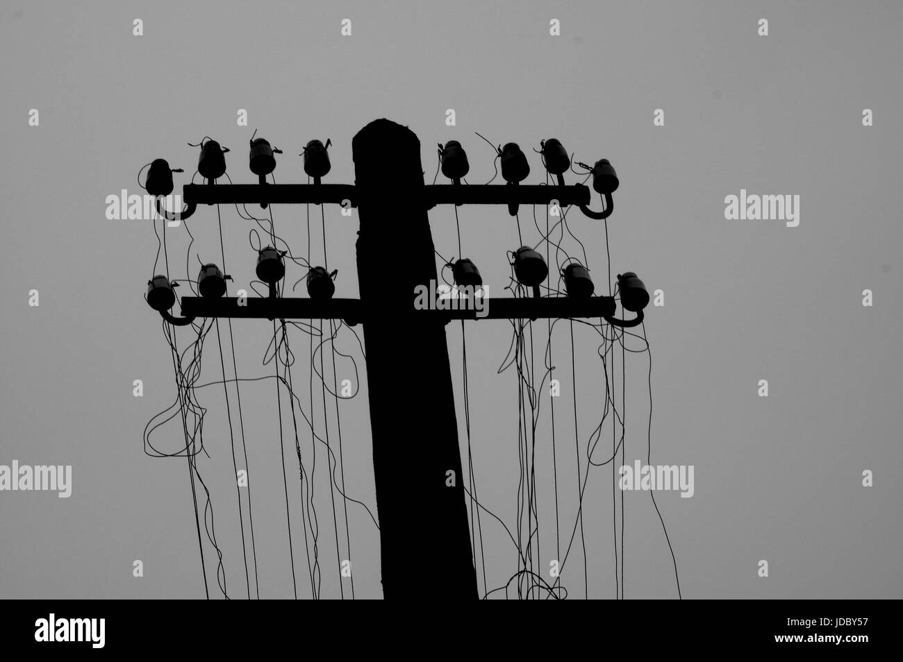 Electricity pole, Telephone pole, Pole, Pillar Stock Photo - Alamy