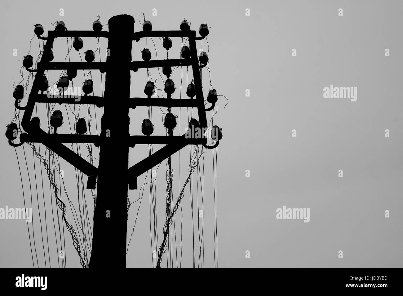 Electricity pole, Telephone pole, Pole, Pillar Stock Photo - Alamy