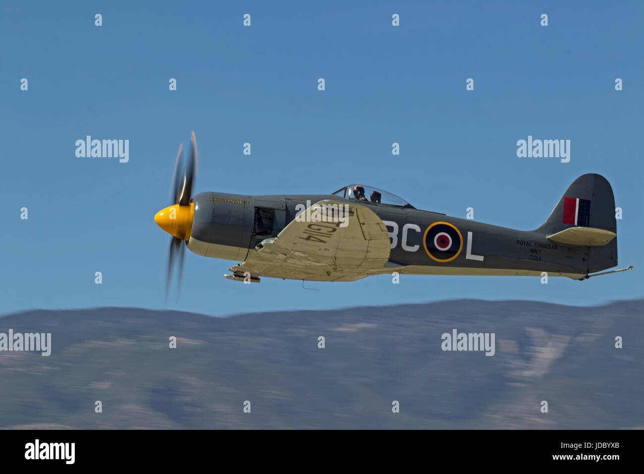 Airplane WWII Hawker Sea Fury aircraft flying at air show Stock Photo ...
