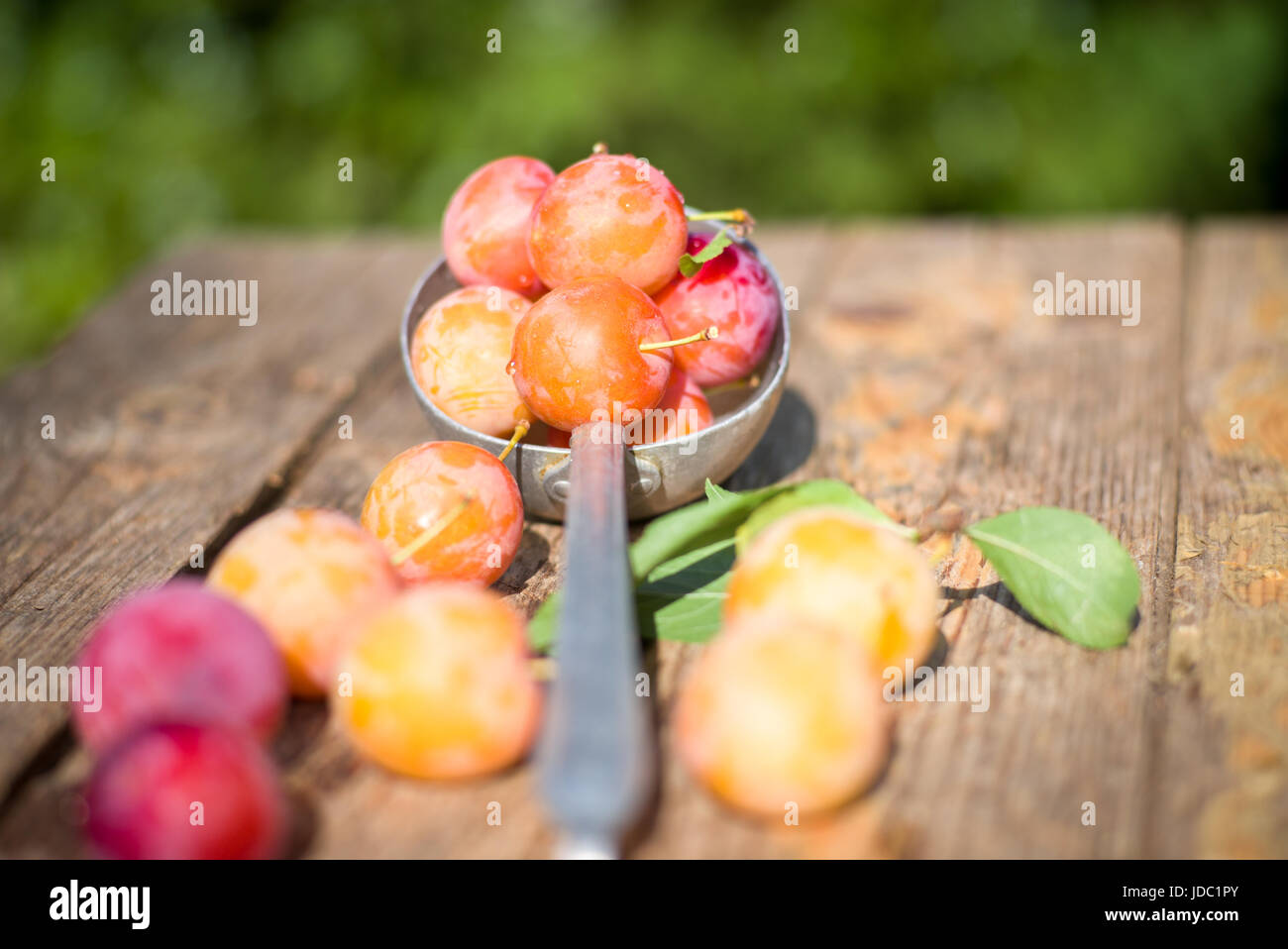 Delicious fresh raw plums fruits from the farm Stock Photo - Alamy