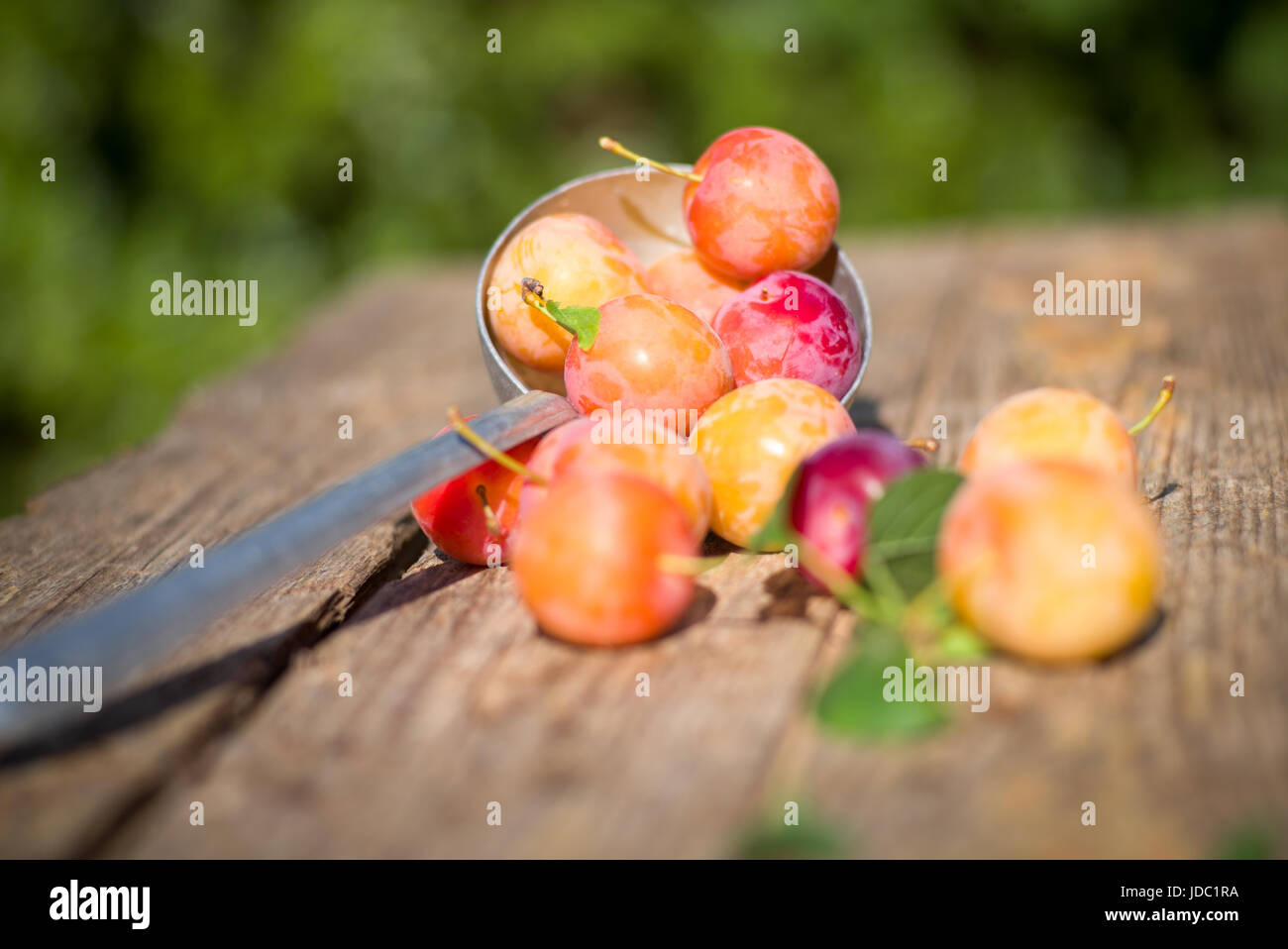 Delicious fresh raw plums fruits from the farm Stock Photo - Alamy