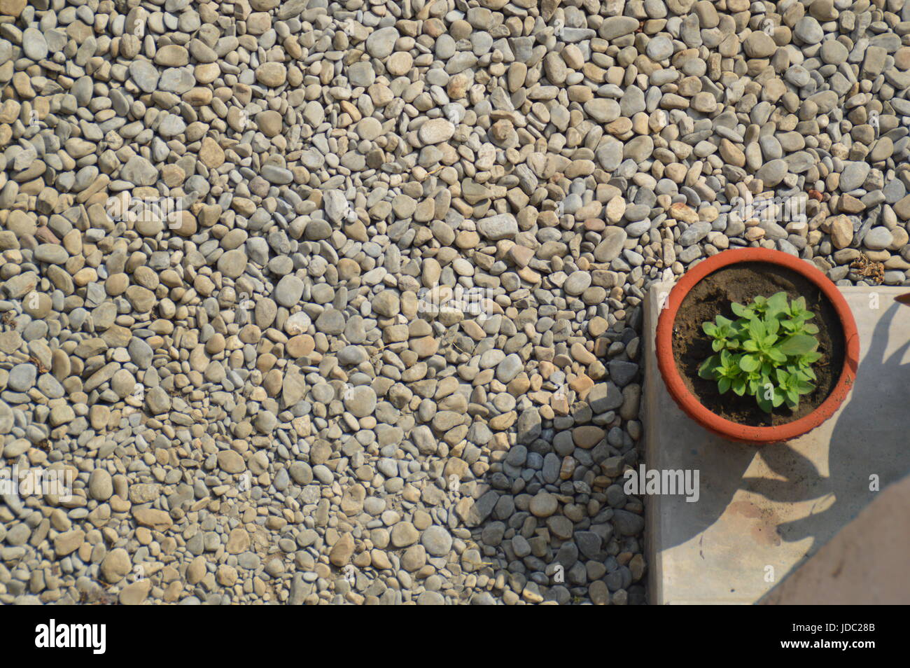 Texture of pebbled pavement hi-res stock photography and images - Alamy