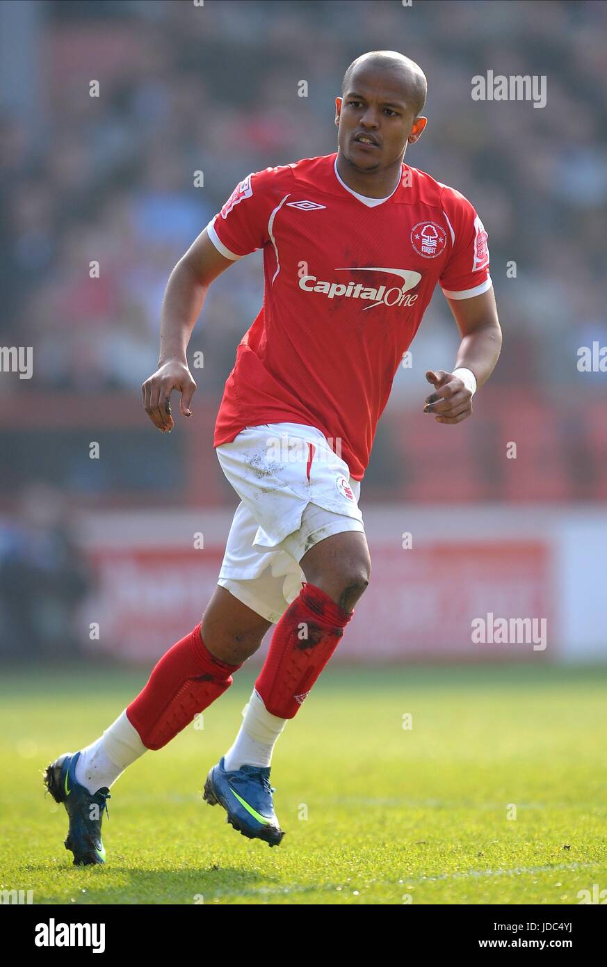 Robert earnshaw forest hi-res stock photography and images - Alamy