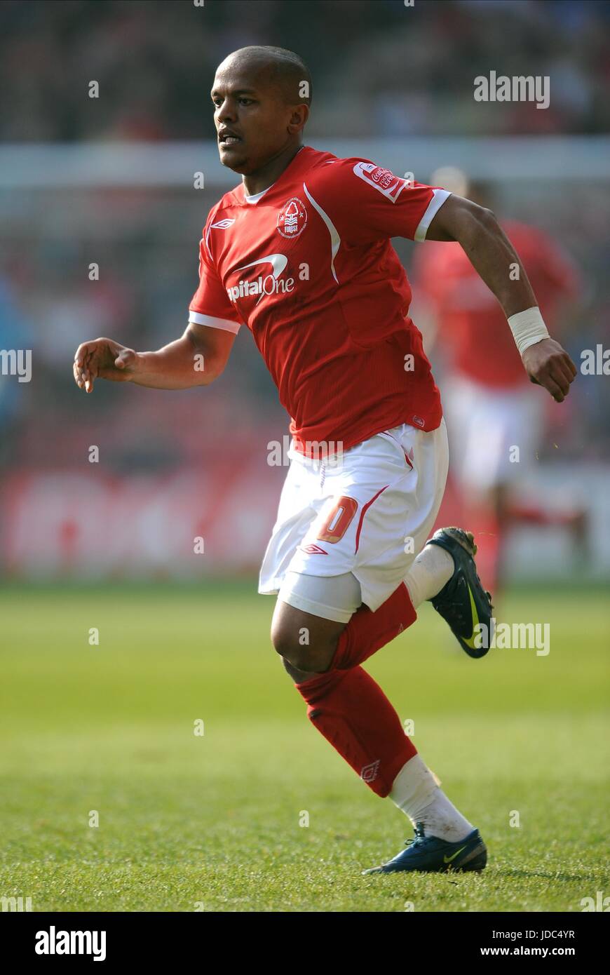 Robert earnshaw forest hi-res stock photography and images - Alamy