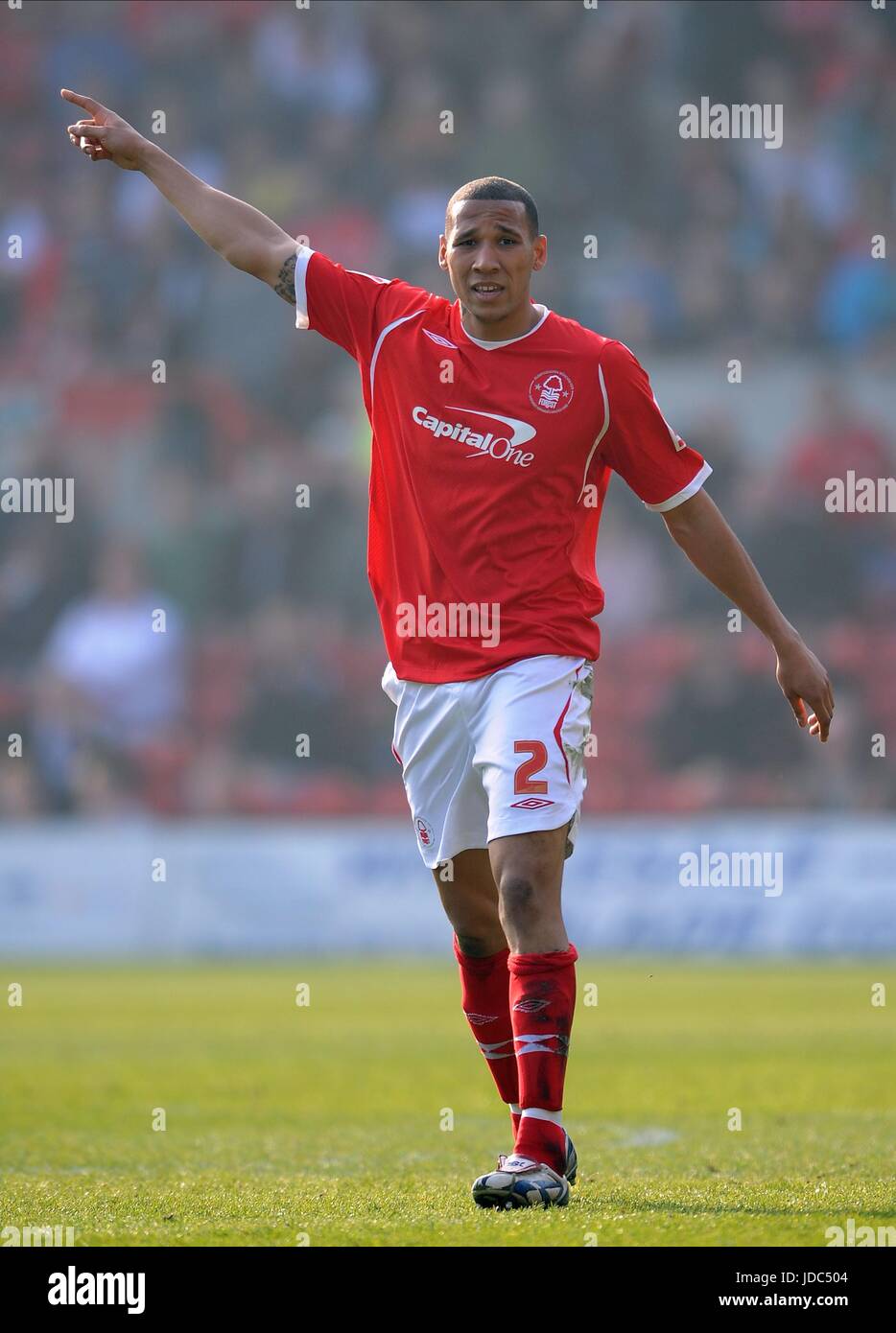 Kelvin wilson forest hi-res stock photography and images - Alamy