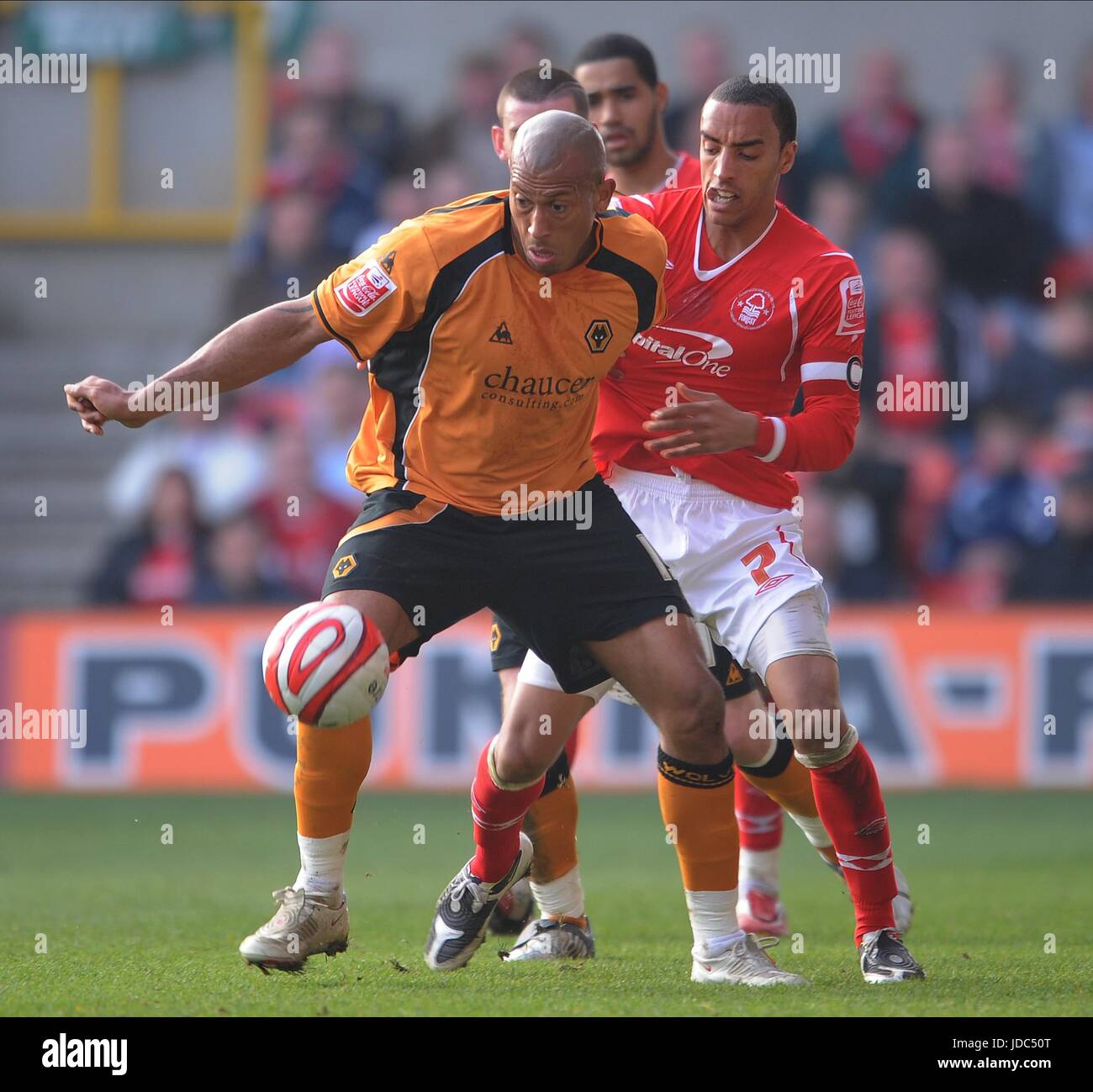 James forest hi-res stock photography and images - Alamy