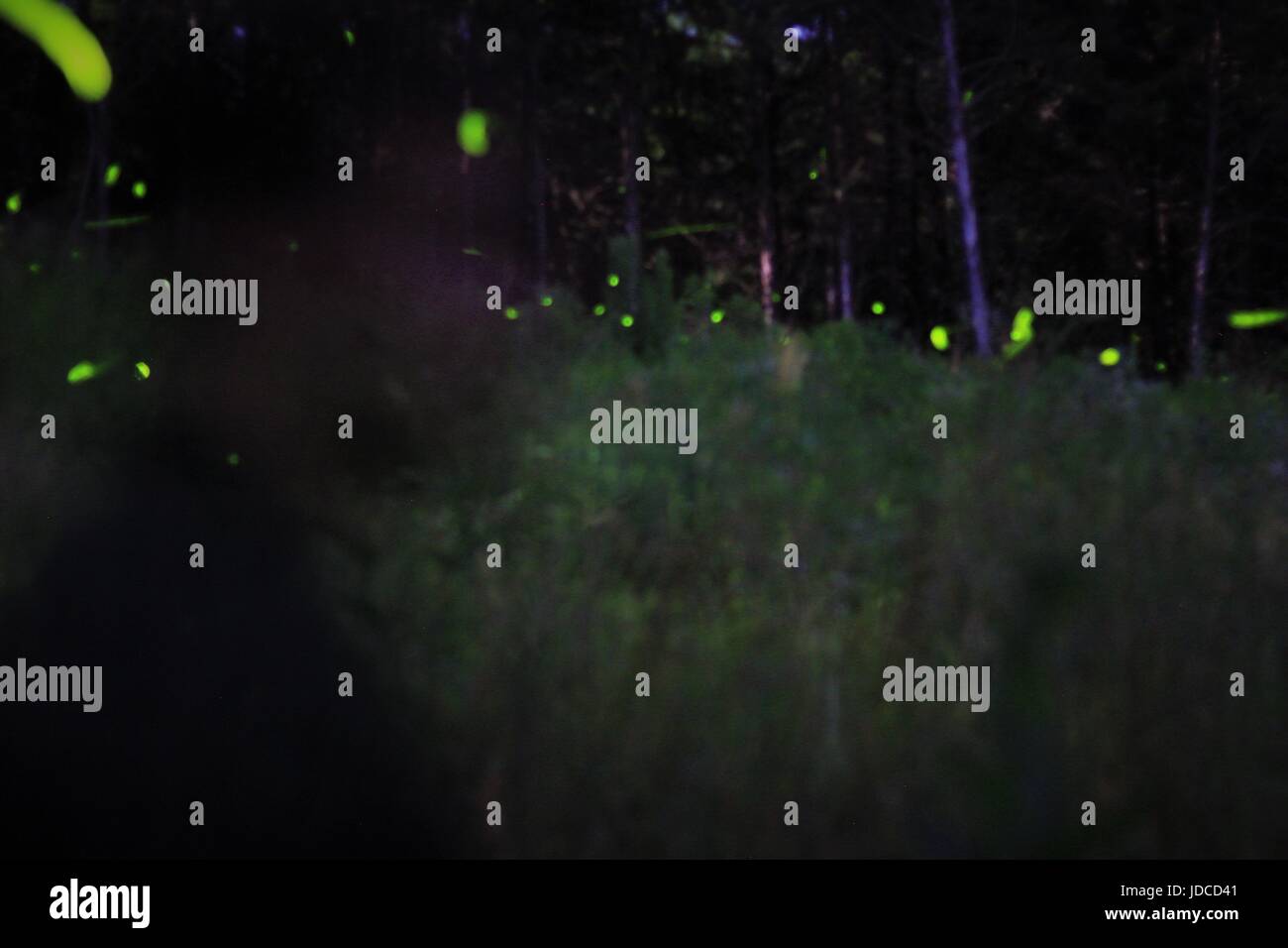 Runge nature center hi-res stock photography and images - Alamy