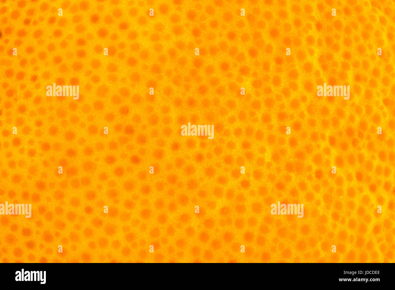 orange peel background Stock Photo - Alamy