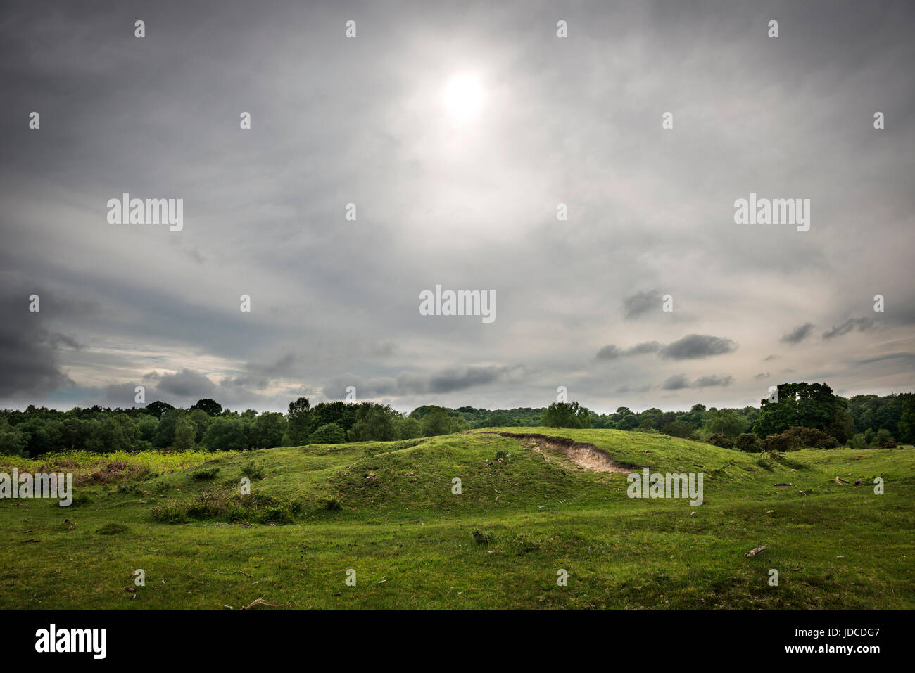 Bronze age barrows new forest hi-res stock photography and images - Alamy