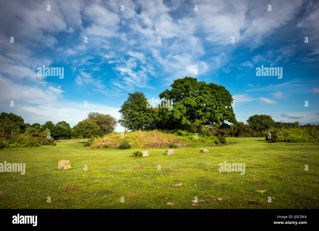 The 'Butt' Bronze Age bowl barrow just outside Fritham in The New ...