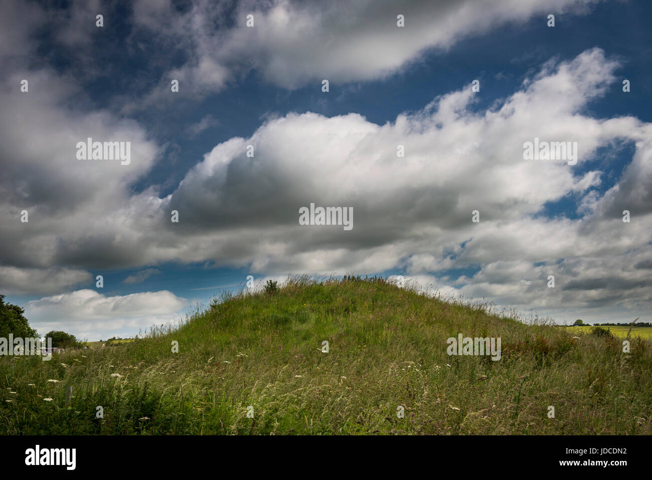 Overton Hill Bronze Age barrow cemetery near Avebury, Wiltshire, UK ...