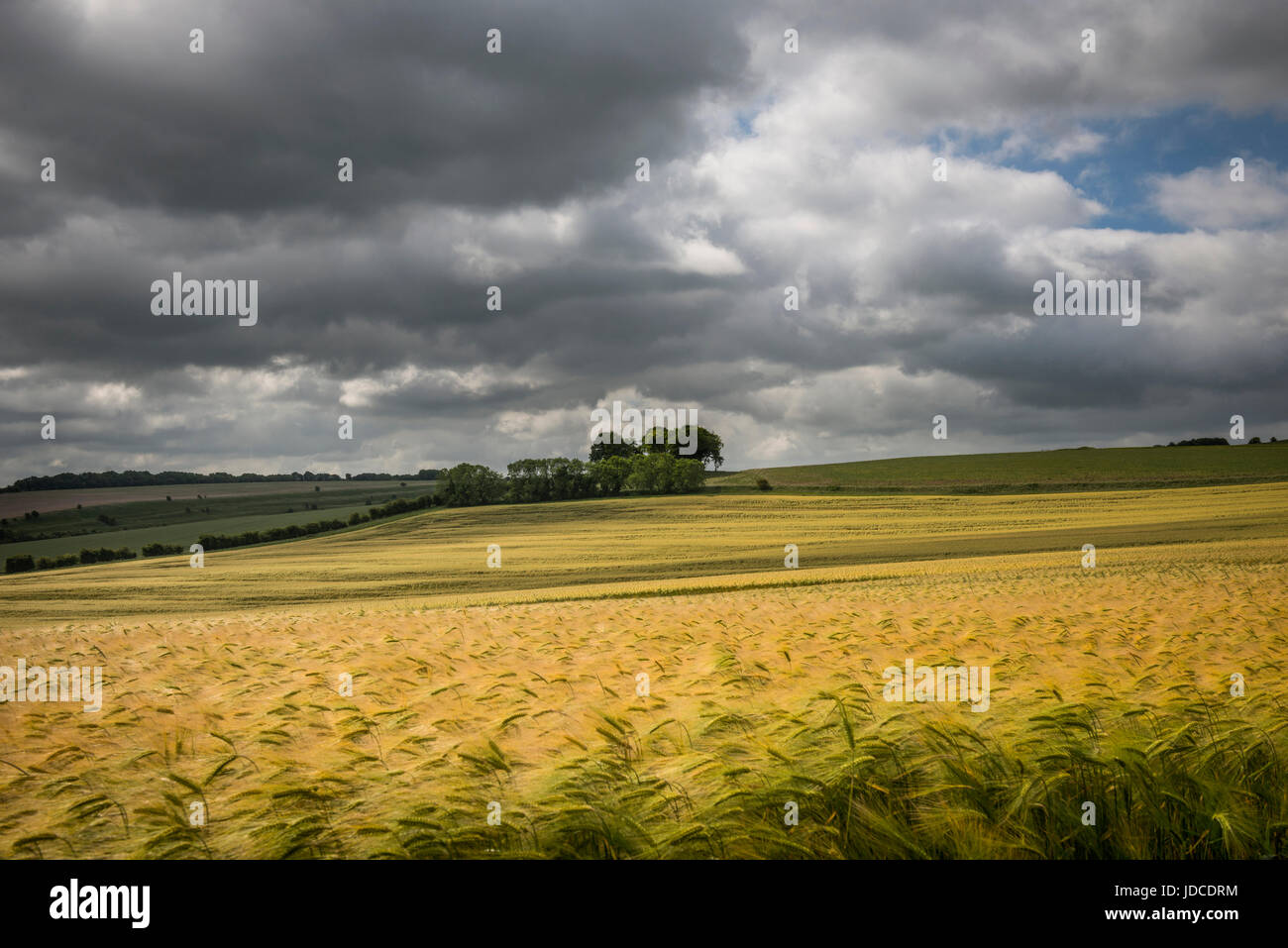 East Kennet Long Barrow near Avebury, Wiltshire, UK Stock Photo - Alamy