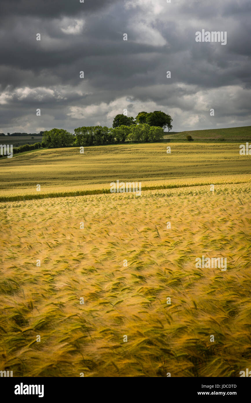 East Kennet Long Barrow near Avebury, Wiltshire, UK Stock Photo - Alamy