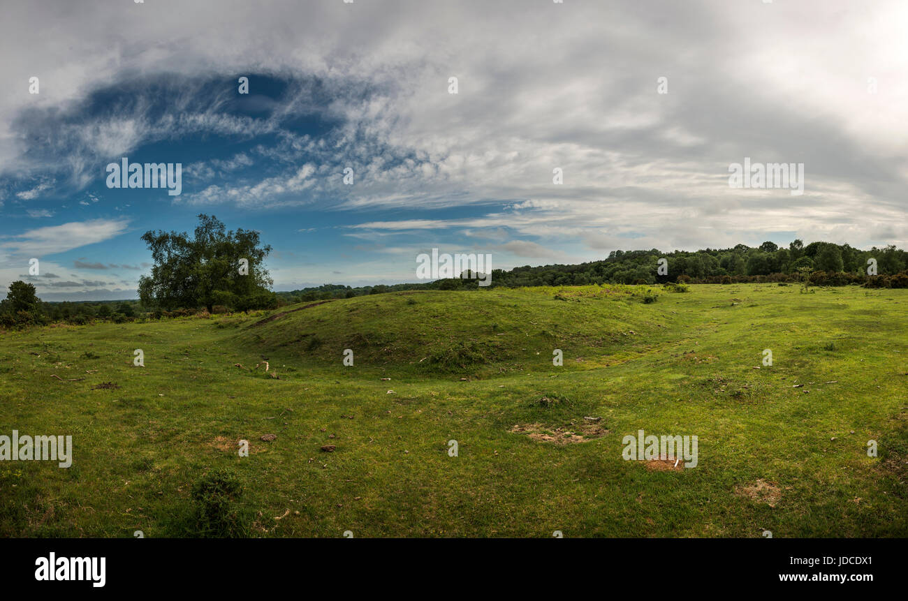 Furzley Common Bronze Age barrow cemetery, The New Forest, Hampshire ...