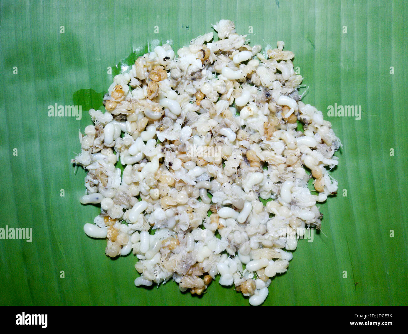 Ants egg on banana leaf. Weird food concept traditional food local ...