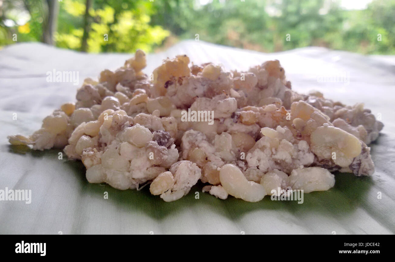 Ants egg on banana leaf. Weird food concept traditional food local ...