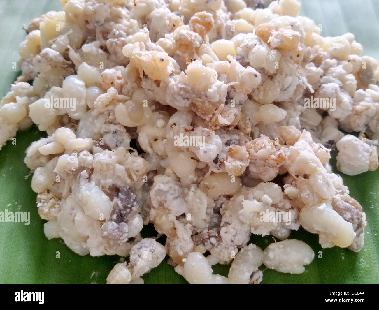 Ants egg on banana leaf. Weird food concept traditional food local ...
