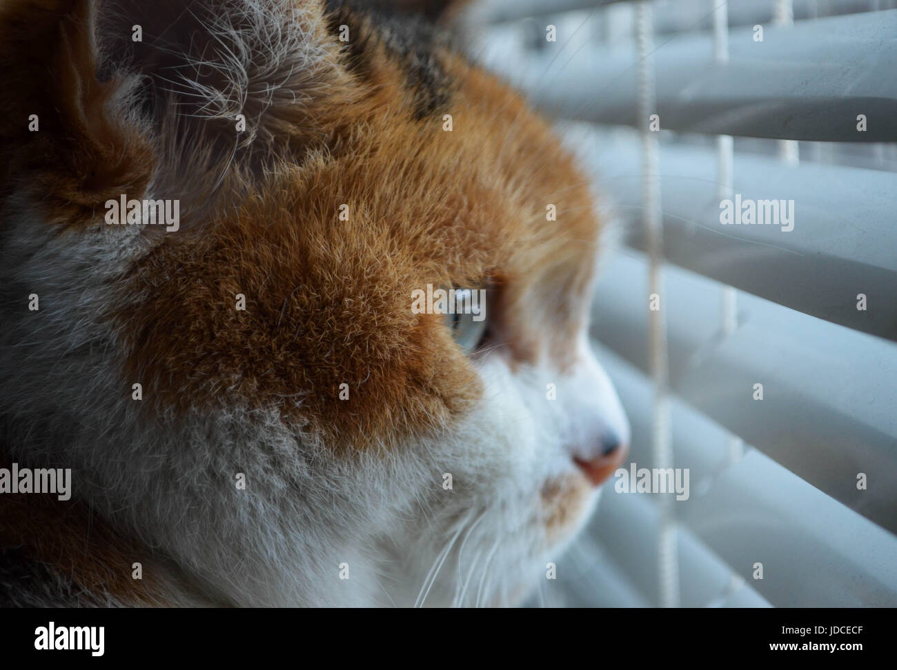 Look thru window Stock Photo - Alamy