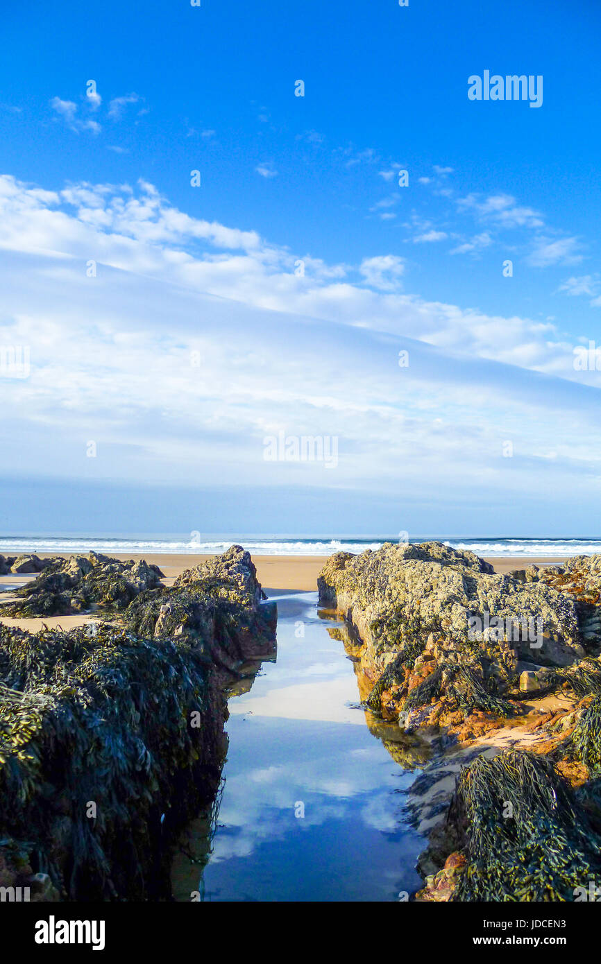 Scottish beach overlooking the North Sea Stock Photo - Alamy