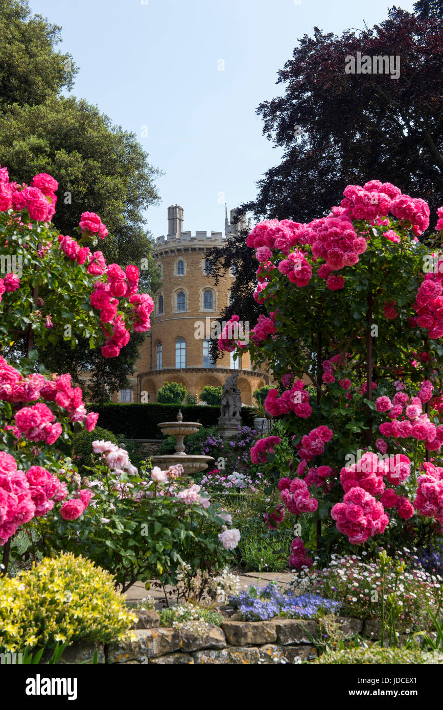 A view of Belvoir Castle through the pretty flowers in the Rose Garden ...