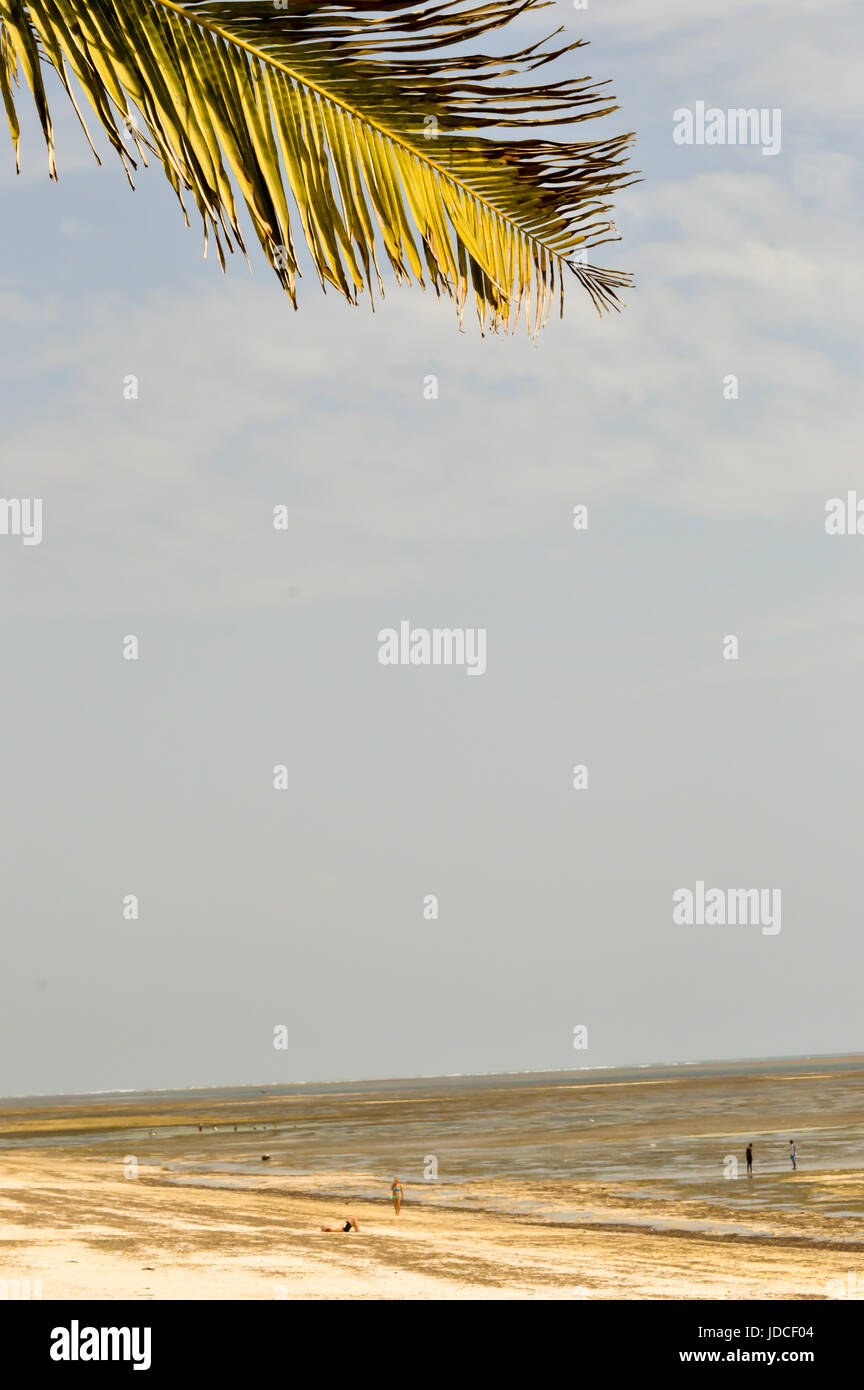 Bamburi beach hi-res stock photography and images - Alamy