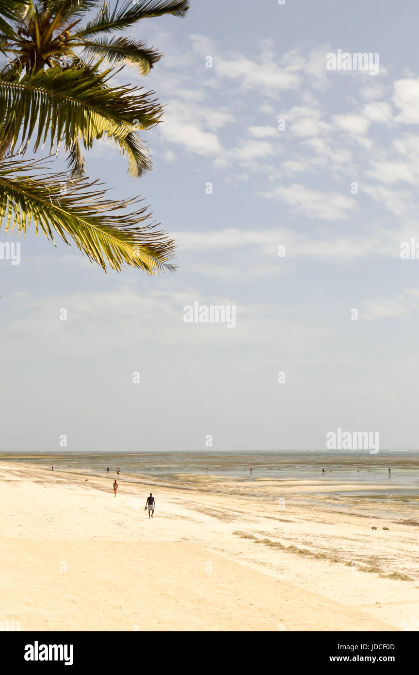 Palm tree branch against blue sky and Bamburi beach in Kenya Stock ...