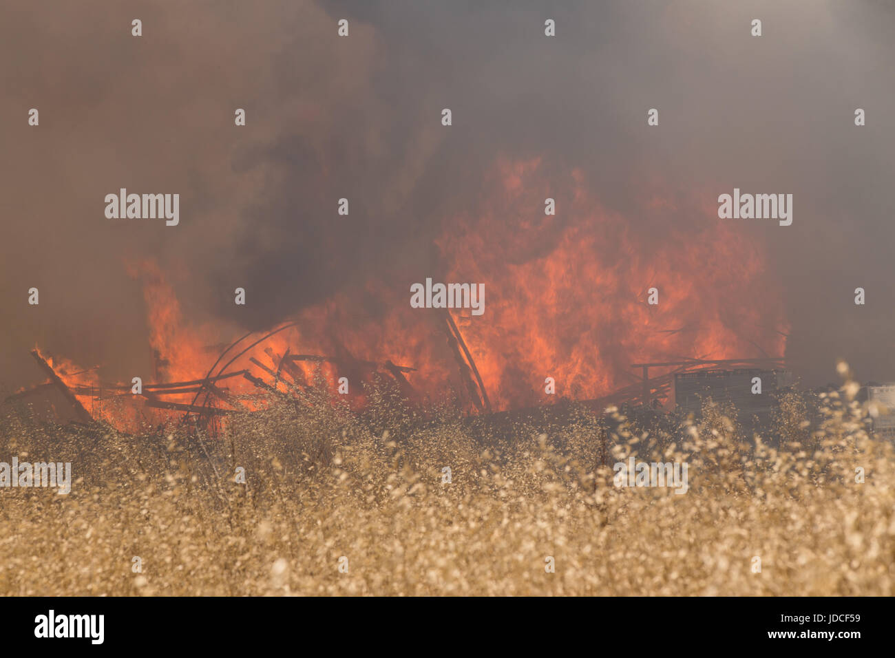 Rome, Italy. 19th June, 2017. A big fire in the southwestern area of ...