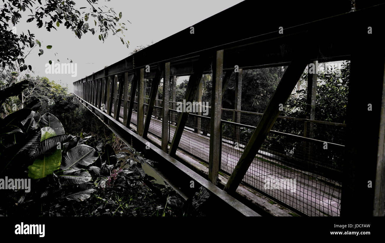 Haunted covered bridge hi-res stock photography and images - Alamy