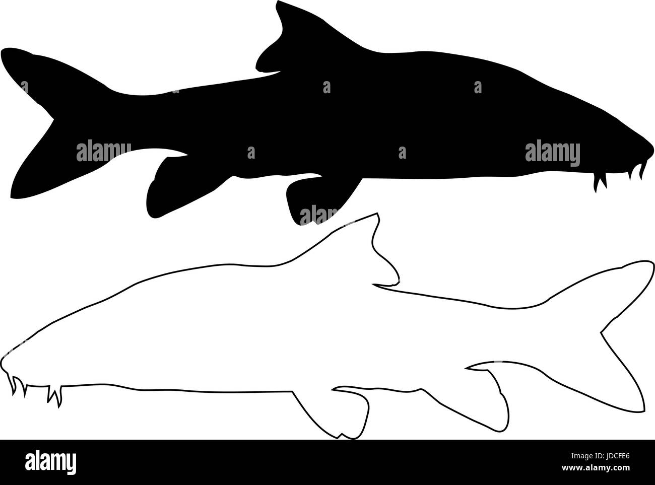 Barbel illustration Black and White Stock Photos & Images - Alamy