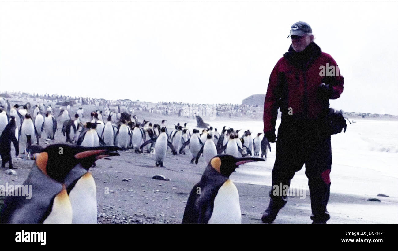 THE PENGUIN COUNTERS, Ron Naveen, 2017. ©First Run features/courtesy ...
