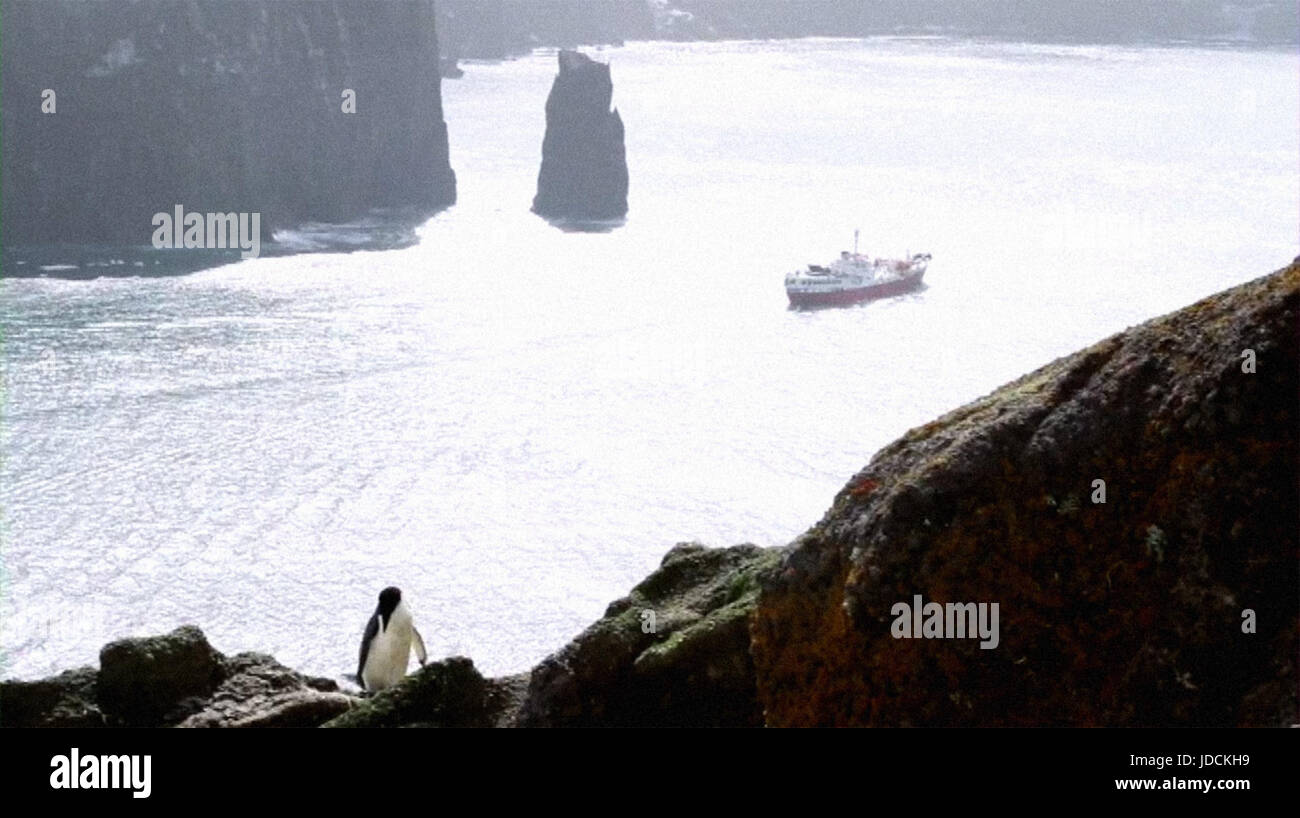 THE PENGUIN COUNTERS, 2017. ©First Run features/courtesy Everett ...