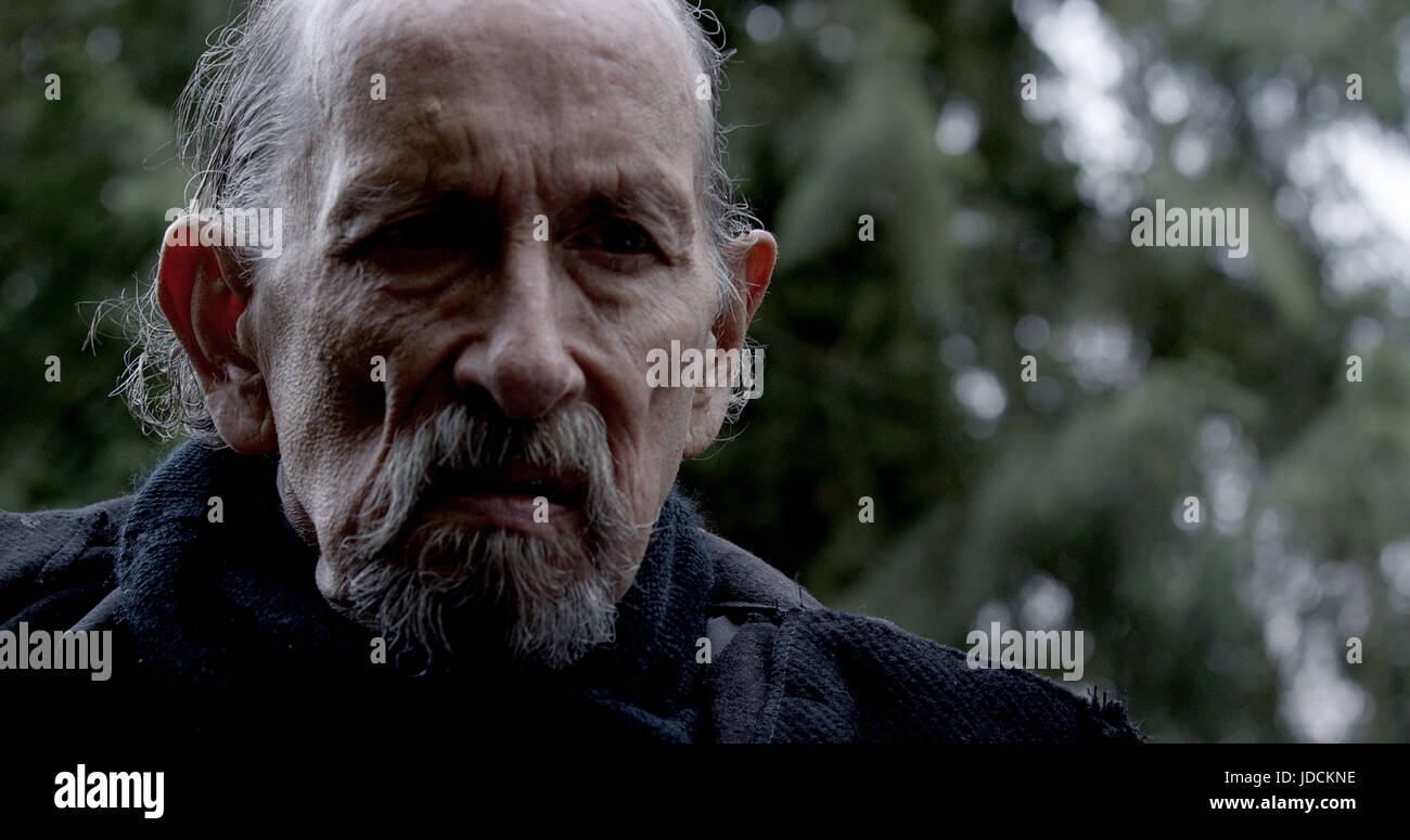 7 WITCHES, (aka SEVEN WITCHES), William Ritchie, 2017. © Indican ...