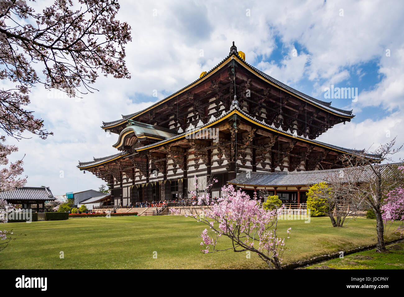 Nara Park and Tōdai-ji Temple with blooming cherry trees, Nara ...