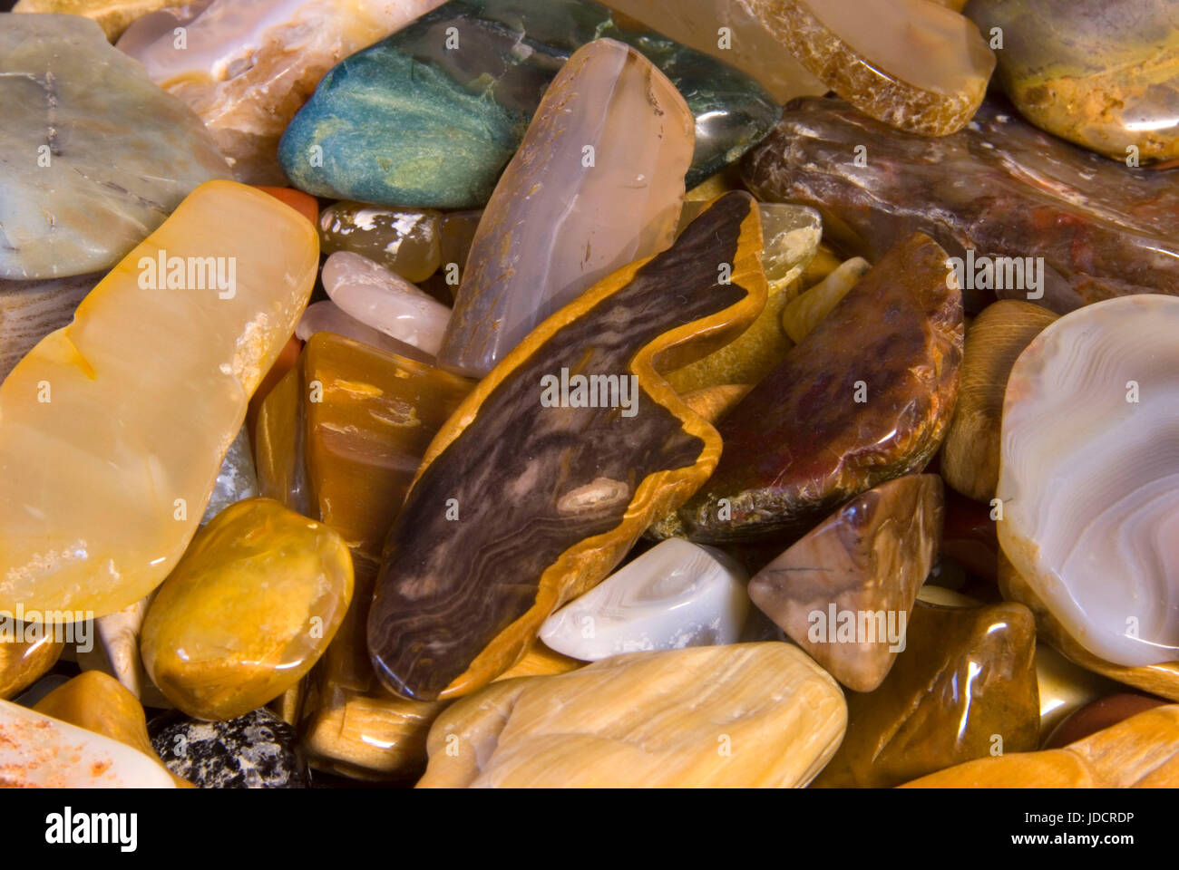 Petrified rocks hi-res stock photography and images - Alamy