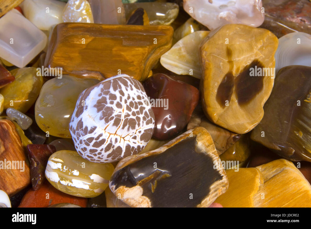 Petrified rocks hi-res stock photography and images - Alamy