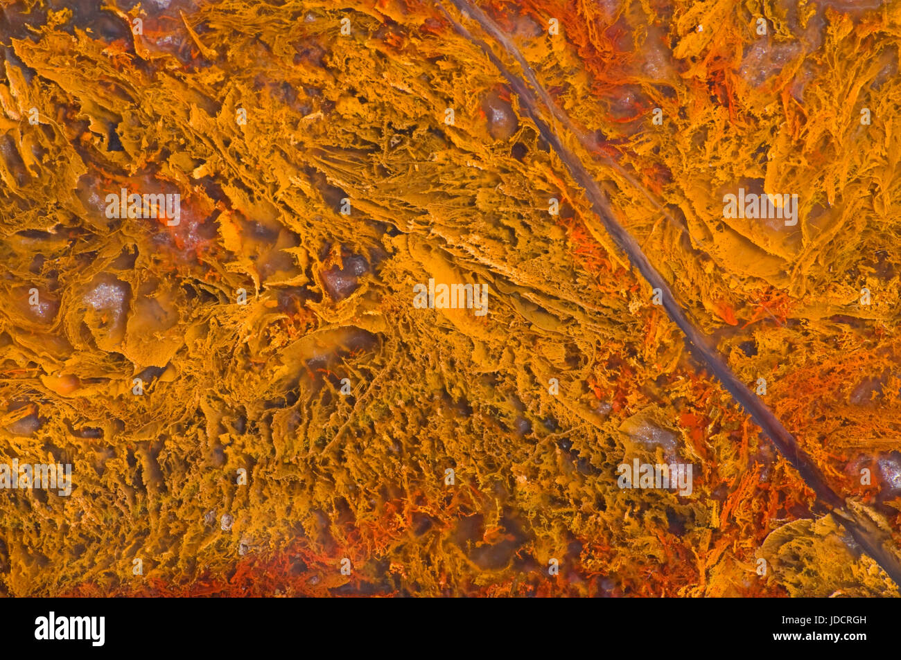 Maury Mountain agate Stock Photo - Alamy