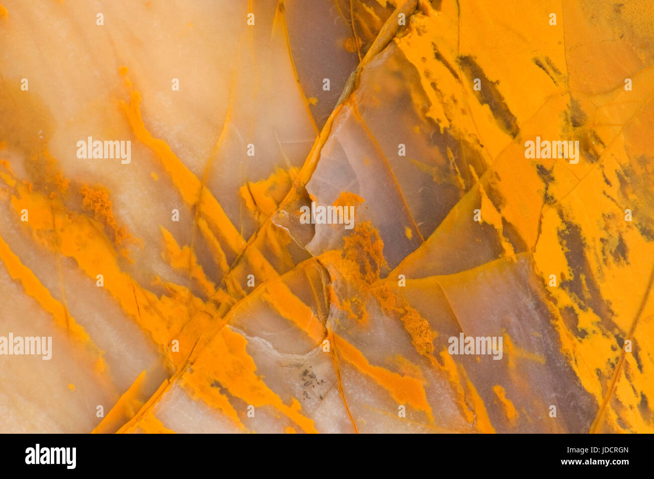 Polished jasper from Oregon Stock Photo - Alamy