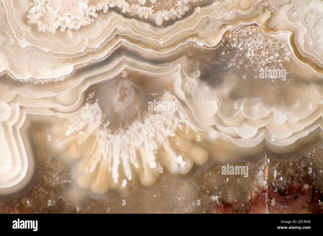 Mexican lace agate hi-res stock photography and images - Alamy