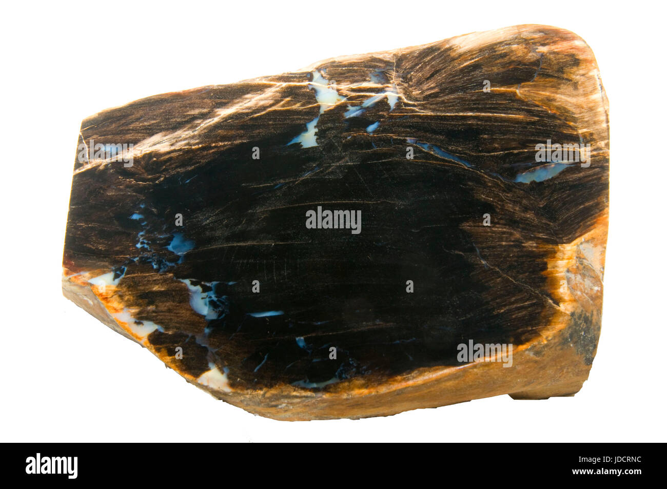 Crabtree Creek petrified wood, Oregon Stock Photo - Alamy