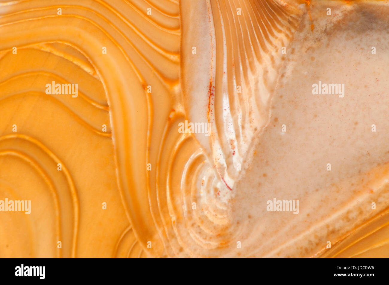Banded rock hi-res stock photography and images - Alamy