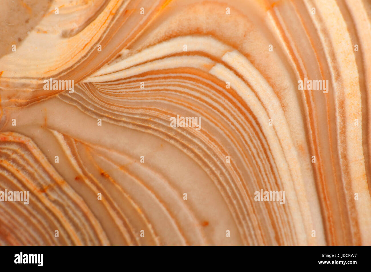 Jasper Agate High Resolution Stock Photography and Images - Alamy