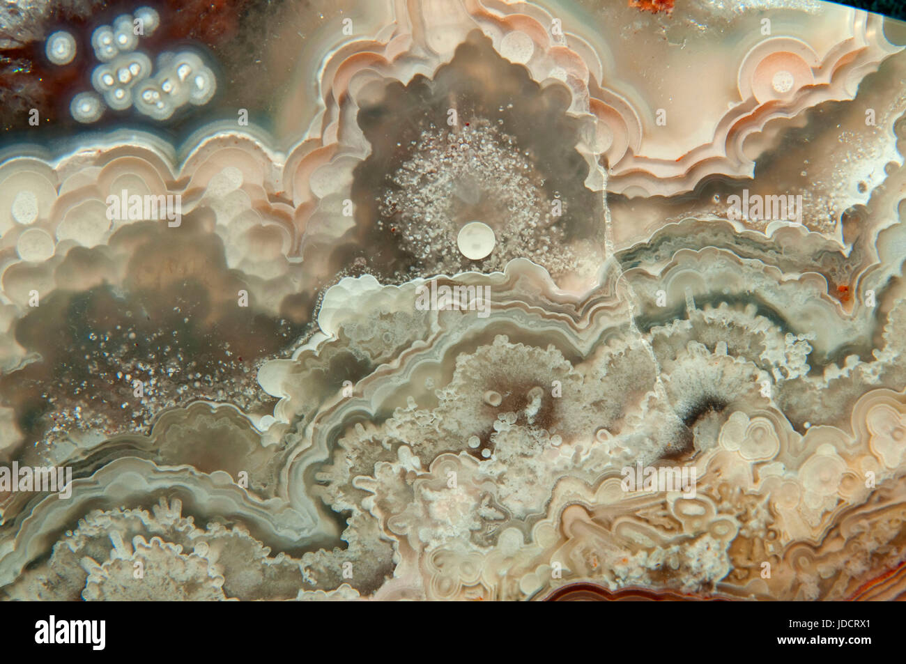 Mexican lace agate Stock Photo - Alamy