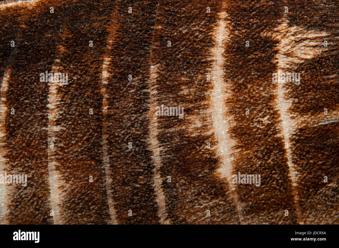 Crabtree Valley High Resolution Stock Photography and Images - Alamy