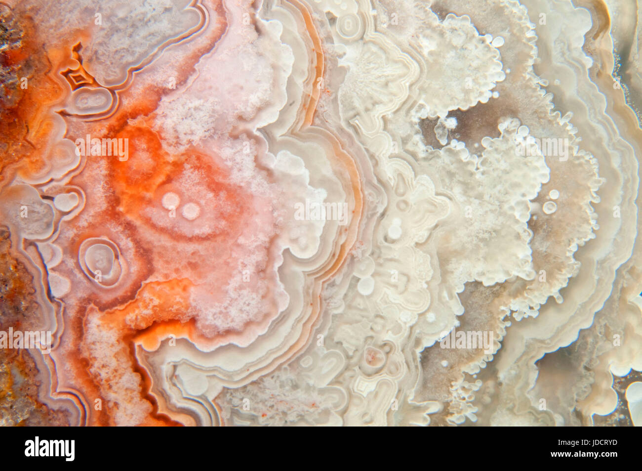 Mexican lace agate Stock Photo - Alamy