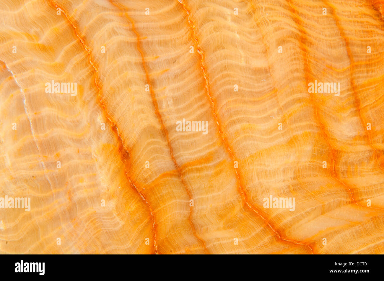 Crabtree Valley High Resolution Stock Photography and Images - Alamy