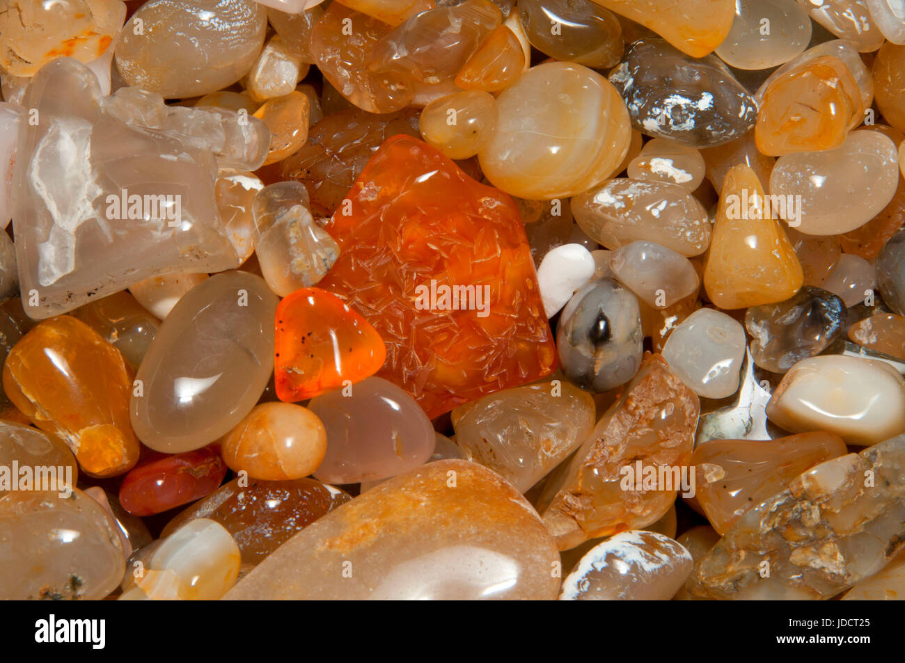 Oregon beach agate Stock Photo - Alamy