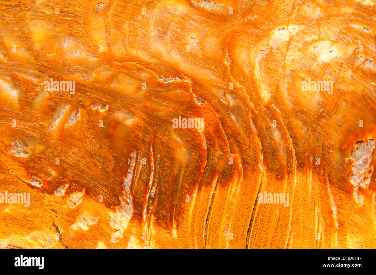 Crabtree valley hi-res stock photography and images - Alamy