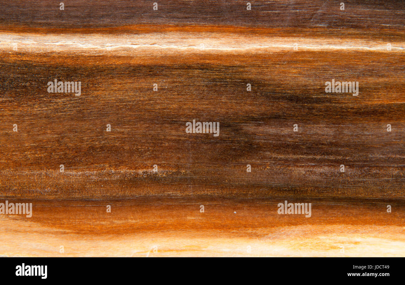 Crabtree Creek petrified wood, Oregon Stock Photo - Alamy