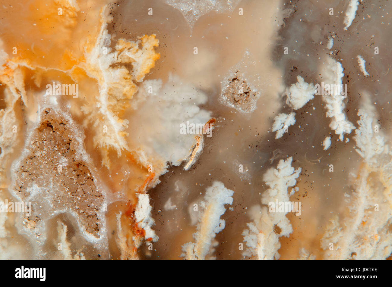 Graveyard Point agate Stock Photo - Alamy