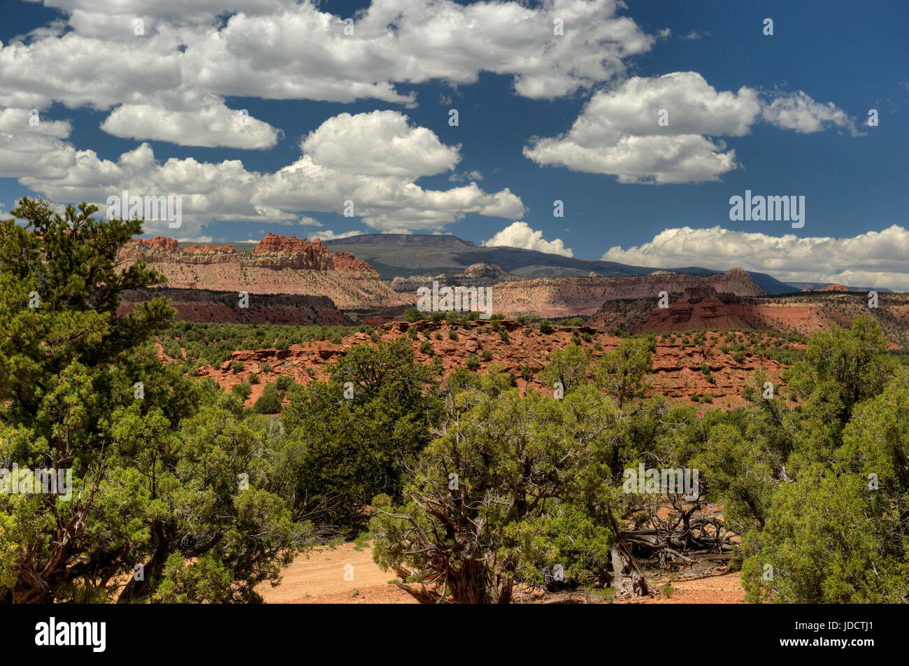 Travel red circle hi-res stock photography and images - Alamy